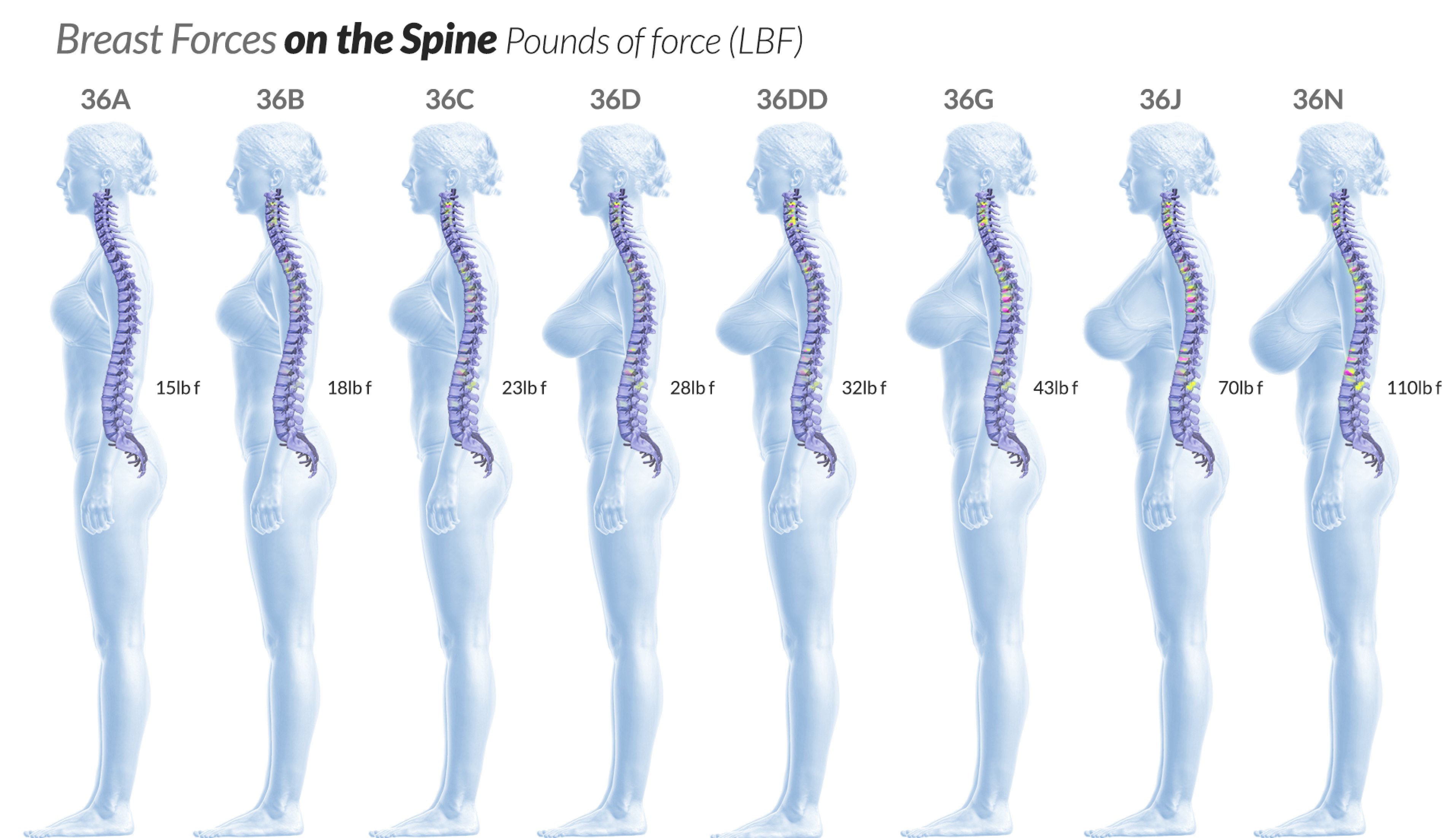 Best Bras for Back Pain That Are Supportive and Comfortable | Woman's World