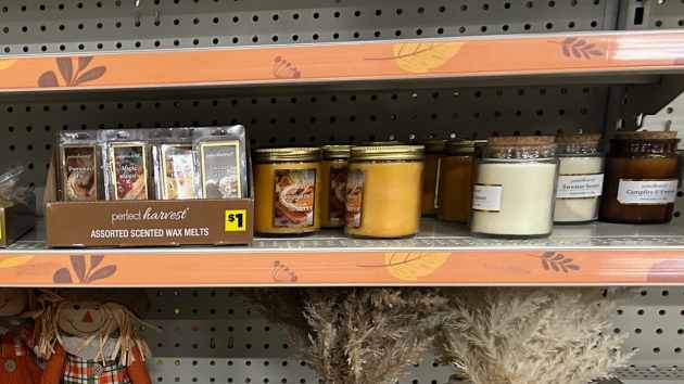 Cozy and Cheap Dollar General Fall Decor Finds Starting at $1 | Woman's ...