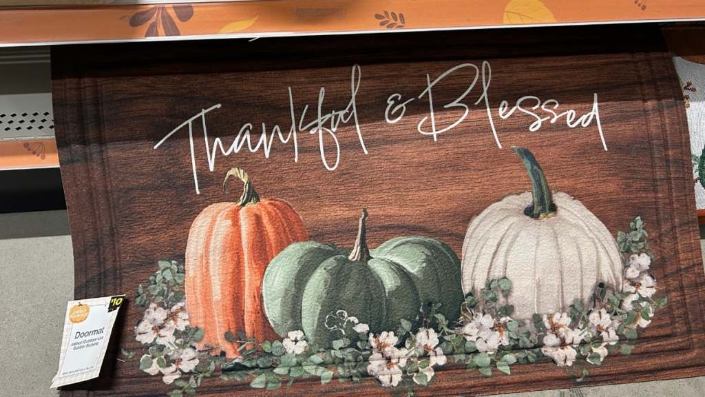 Cozy and Cheap Dollar General Fall Decor Finds Starting at $1 | Woman's ...
