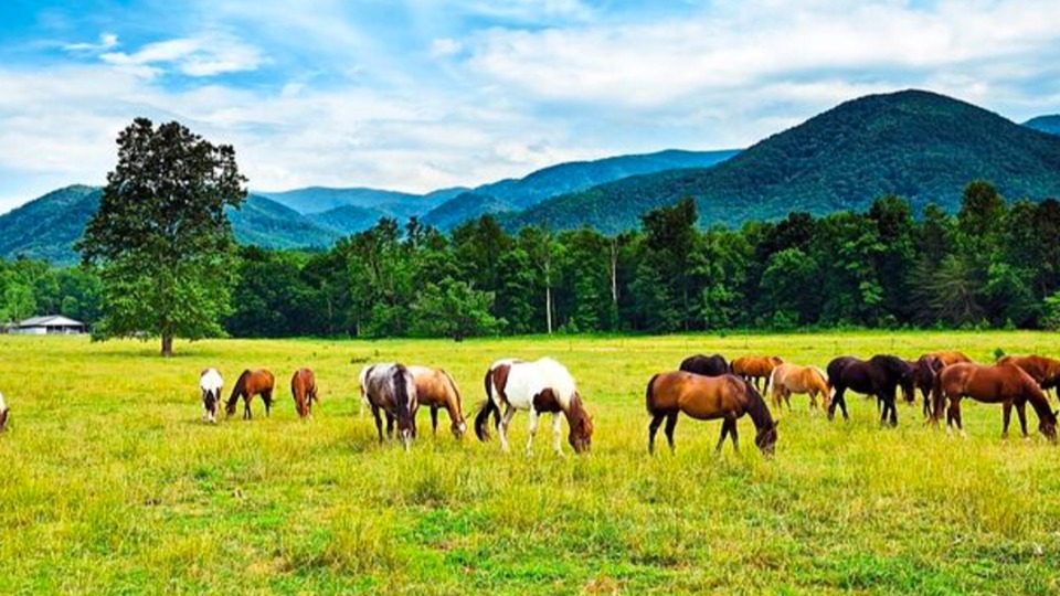 7 Things to Do in Barnard: Explore Vermont’s Green Mountains Retreat ...