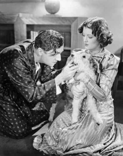 Skippy the Dog: Hollywood's Classic ‘30s Scene Stealer | Woman's World