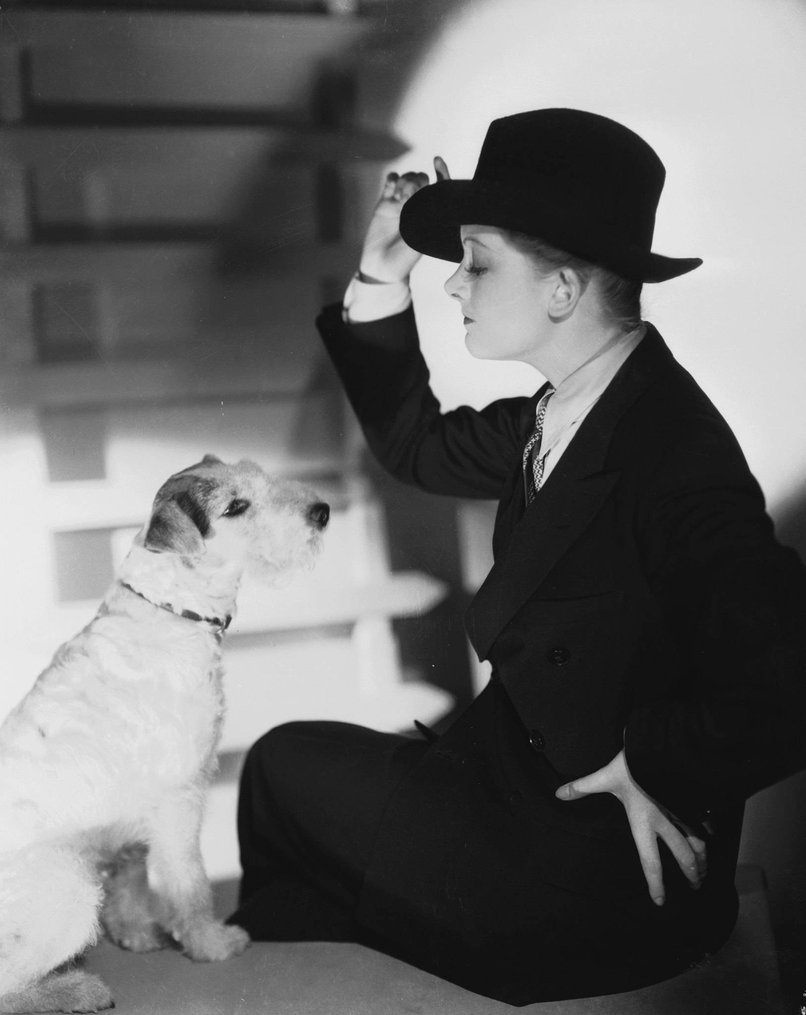 Skippy the Dog: Hollywood's Classic ‘30s Scene Stealer | Woman's World