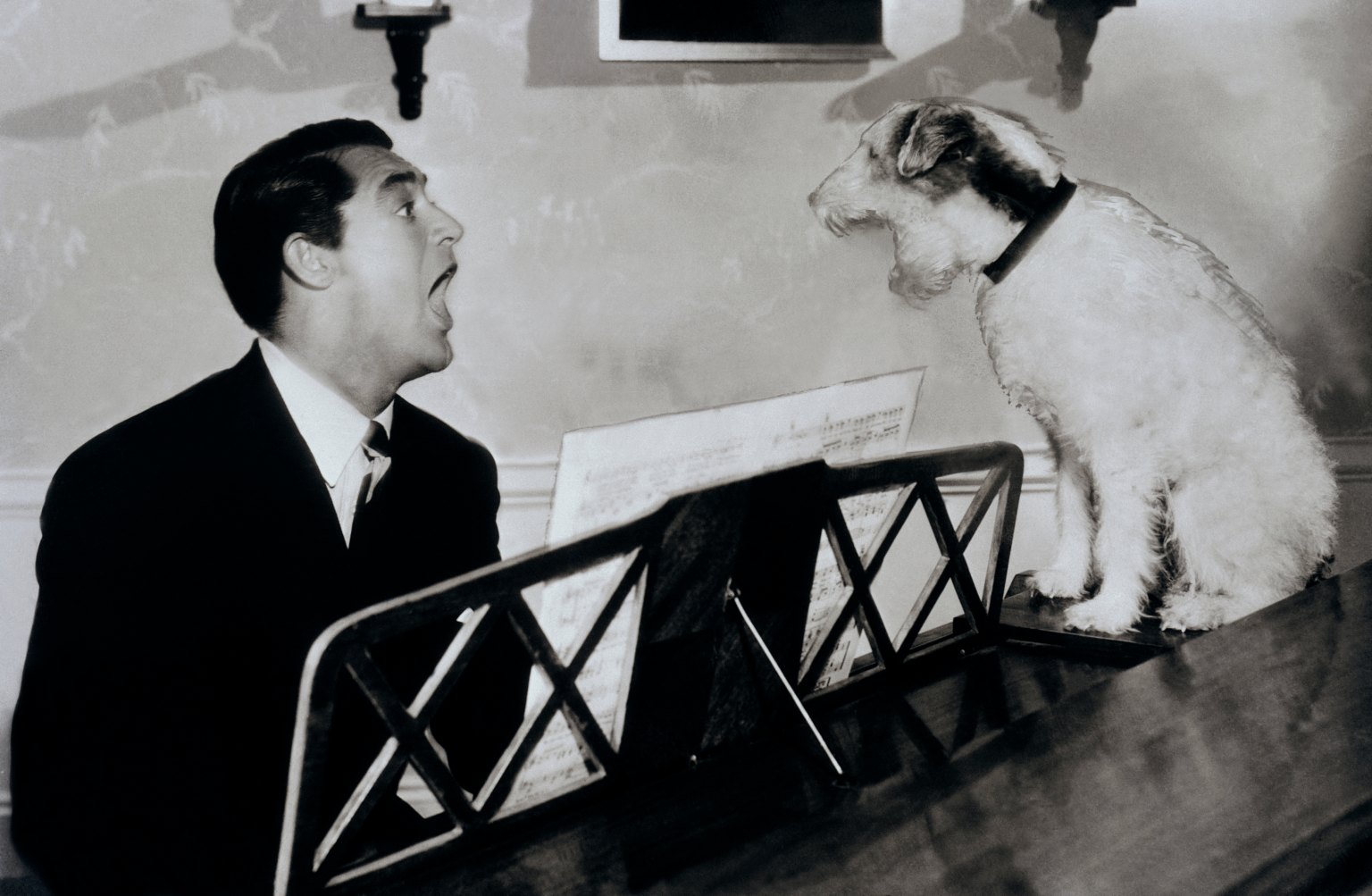 Skippy the Dog: Hollywood's Classic ‘30s Scene Stealer | Woman's World