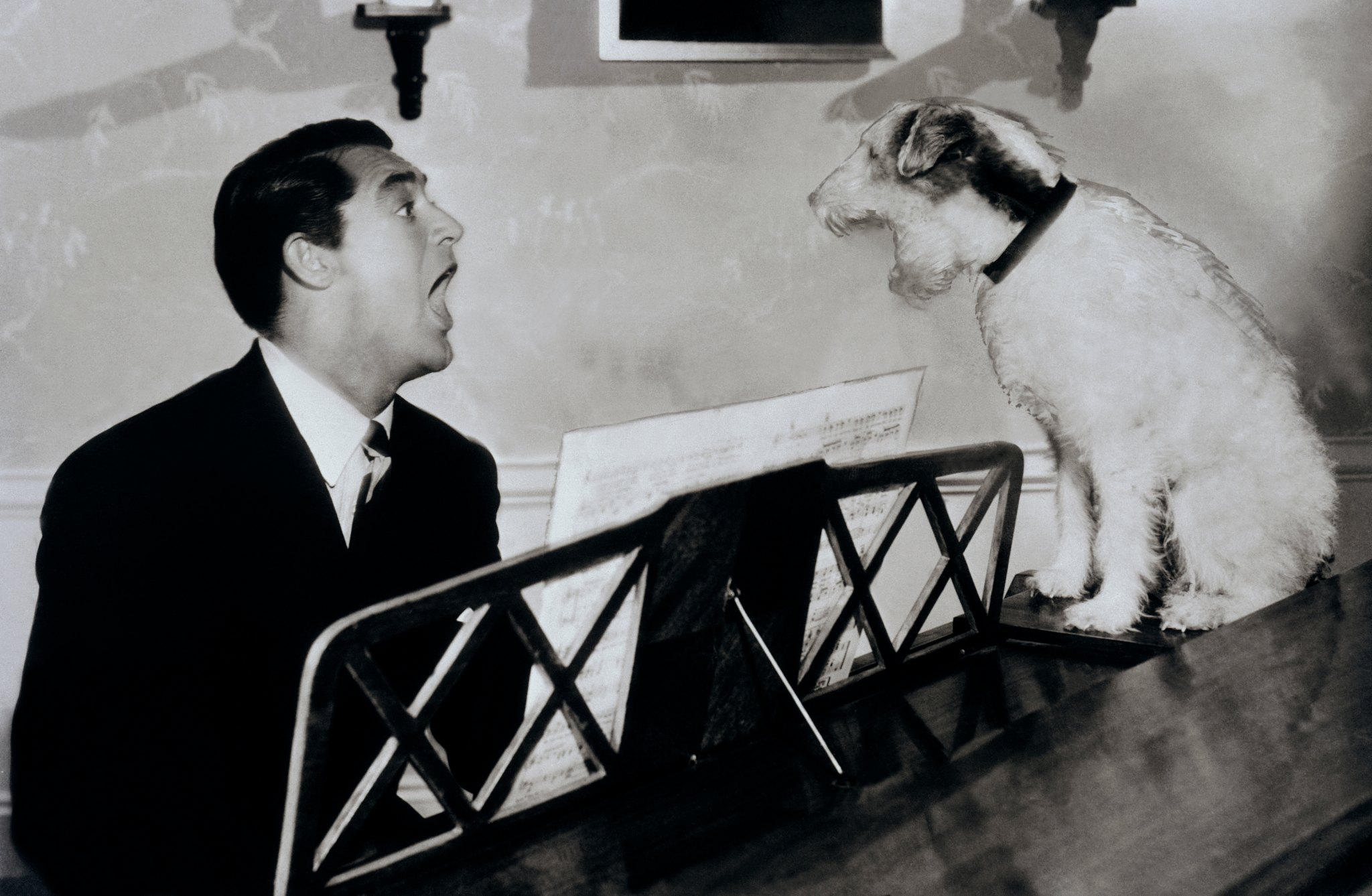 Skippy the Dog: Hollywood's Classic ‘30s Scene Stealer | Woman's World