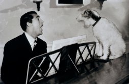 Skippy the Dog: Hollywood's Classic ‘30s Scene Stealer | Woman's World