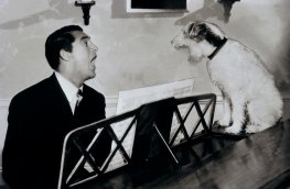 Skippy the Dog: Hollywood's Classic ‘30s Scene Stealer | Woman's World