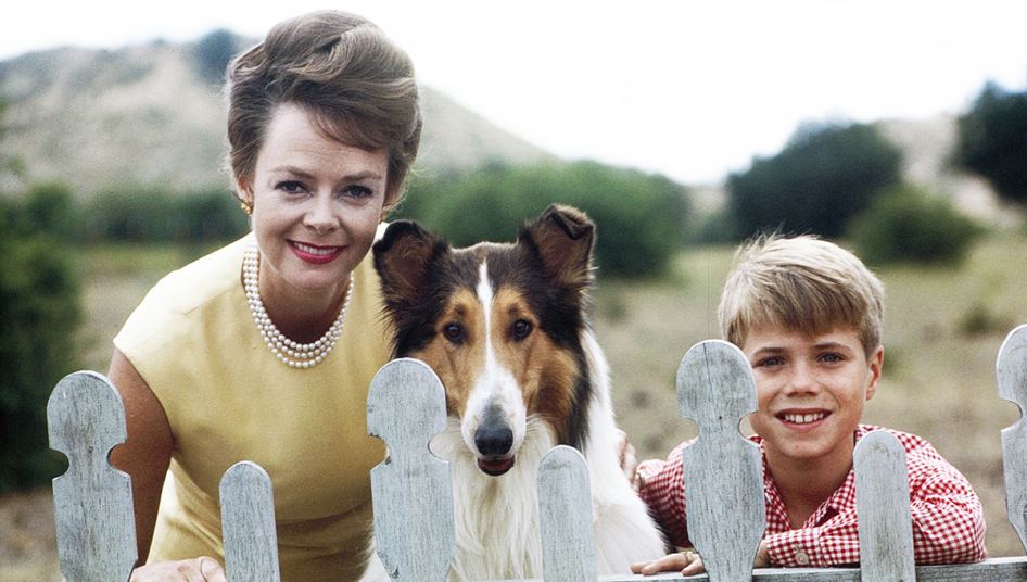 June Lockhart: 11 Photos of Her as a Young Actress | Woman's World