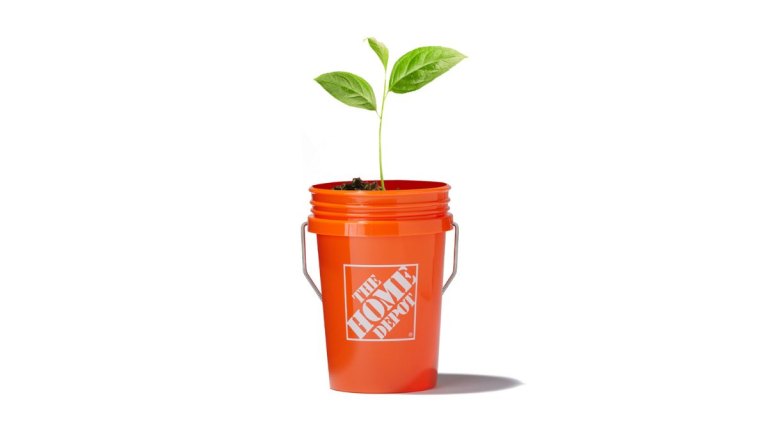Home Depot Mini Bucket Sells Out In Stores For Under $1 | Woman's World