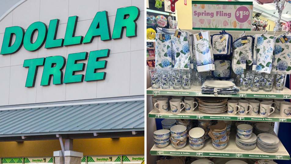 I Write About Dollar Tree Deals: Here Are My Spring Essentials | Woman ...