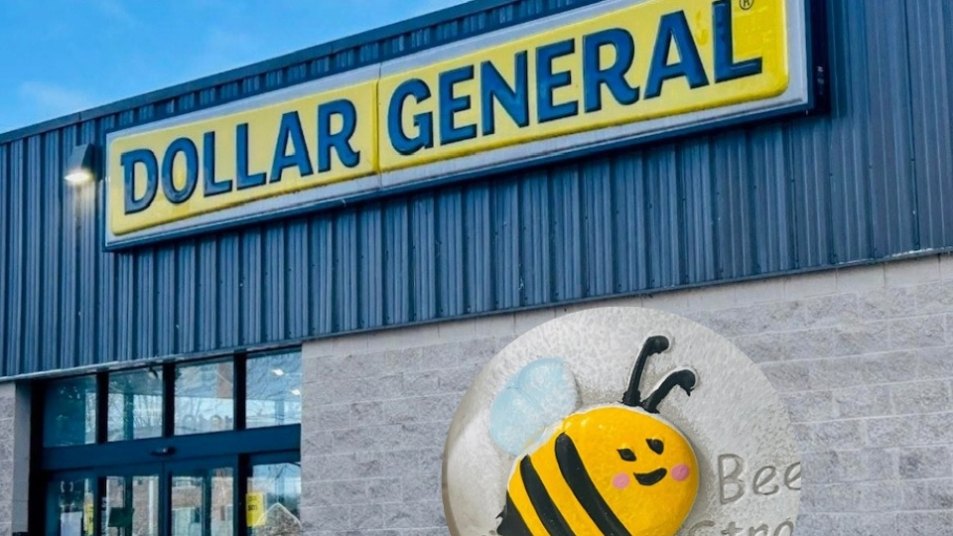 Shop Dollar General Spring Decor: Best 2026 Finds From $1